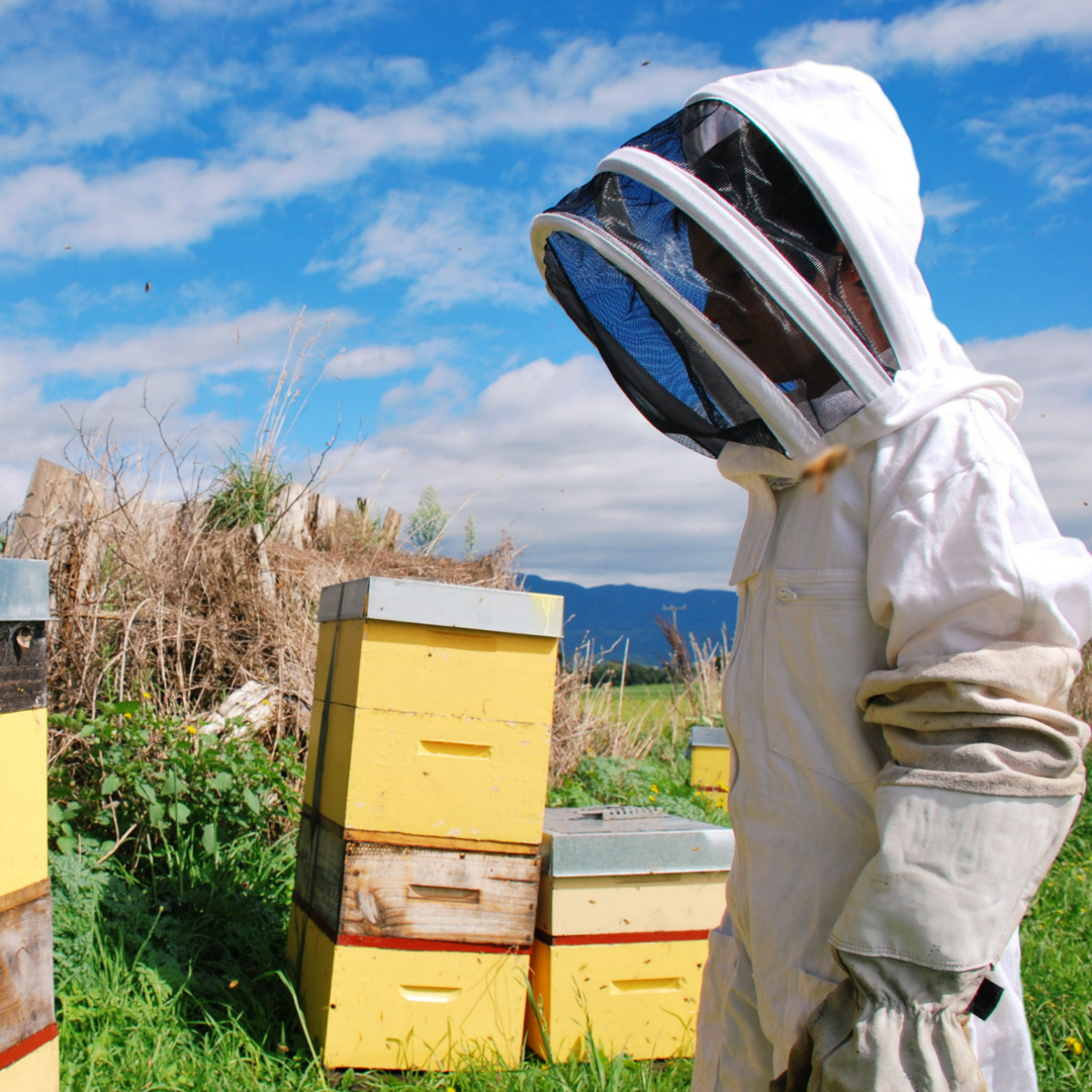 Beekeeping – Masterson's Garden Center, Inc.