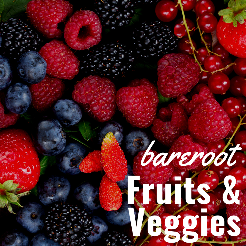 Bare Root Fruits & Veggies – Masterson's Garden Center, Inc.